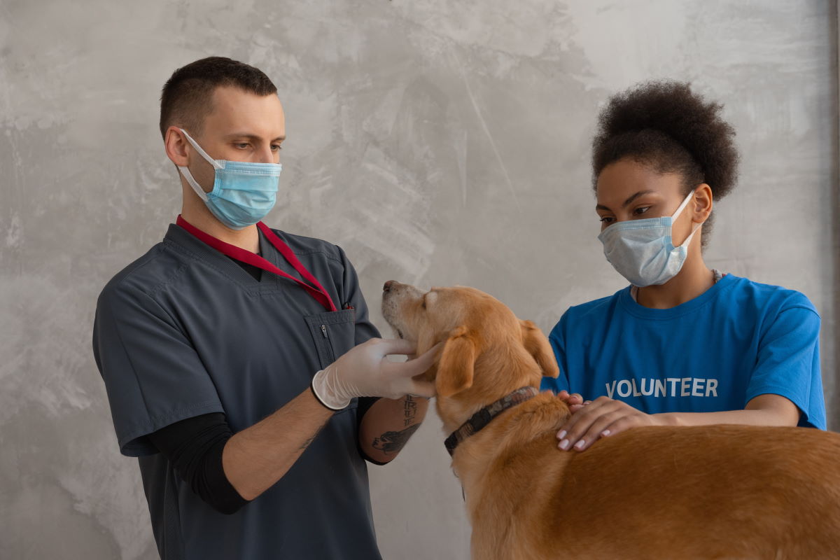 SIGNATUREVETERINARY - SignatureFD Financial Community for Veterinarians
